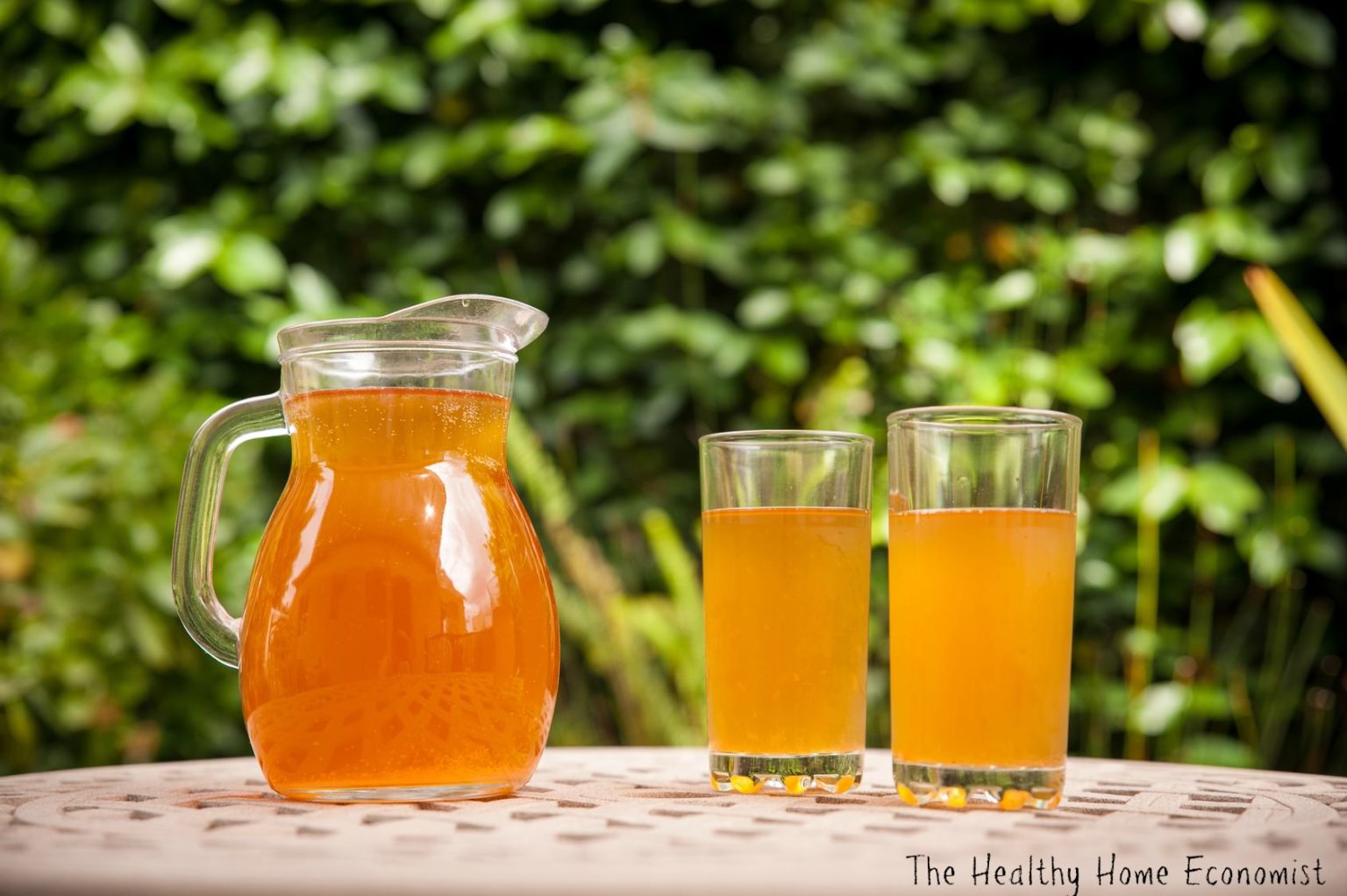 Have You Tried Kombucha Tea? | Healthy Home Economist