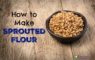 How to Make Sprouted Flour at Home - Healthy Home Economist