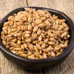 How to Make Sprouted Flour at Home - Healthy Home Economist