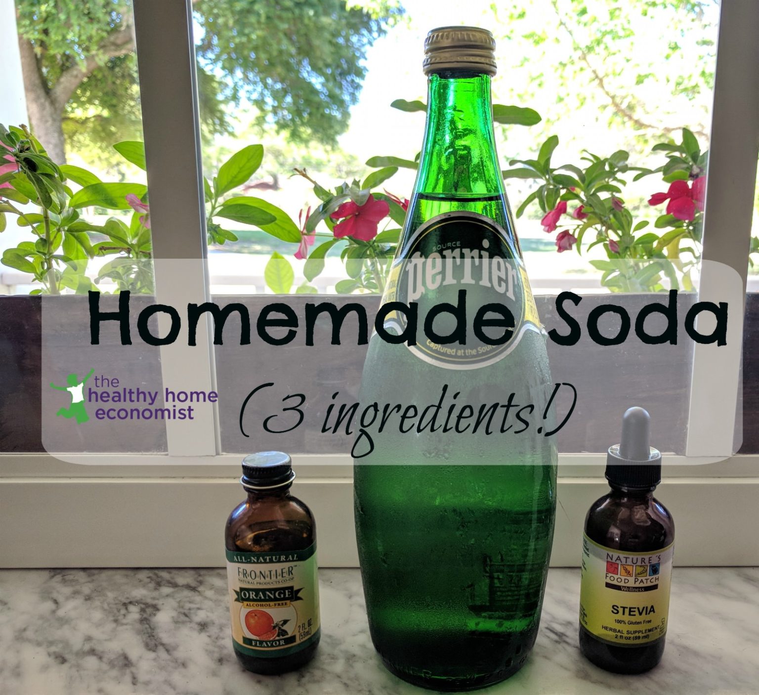 5 Minute Homemade Soda (3 ingredients!) - The Healthy Home Economist