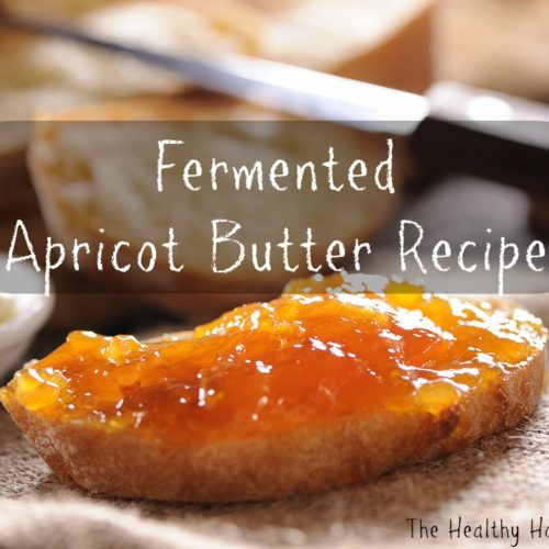 Probiotic Apricot Butter Recipe (+ video) - Healthy Home Economist