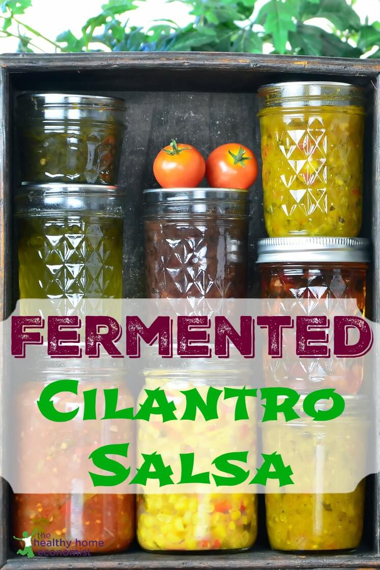 Perfectly Fermented Homemade Cilantro Salsa | Healthy Home Economist