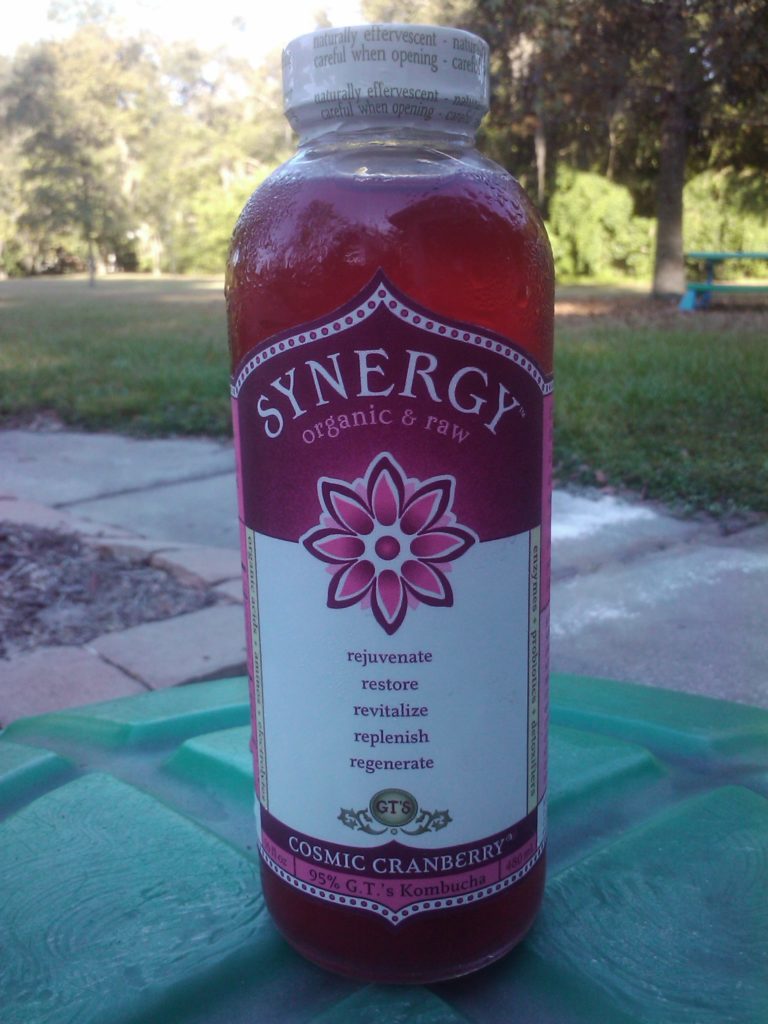 Reformulated Kombucha Back in Stores | Healthy Home Economist