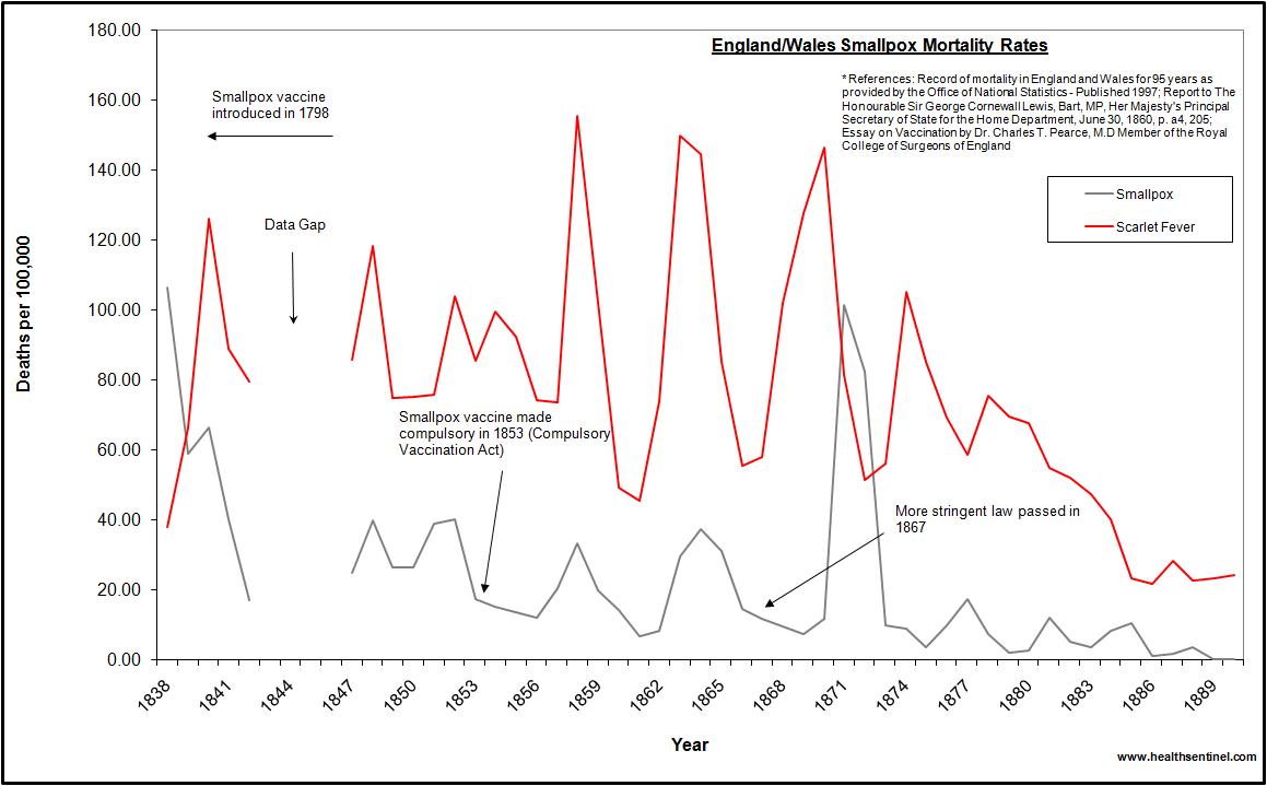 Weekly Comment Spotlight 6/17/2011 | The Healthy Home Economist