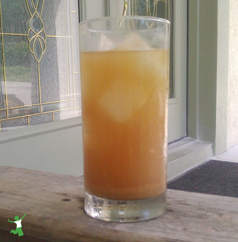 Traditional Homemade Ginger Ale | Healthy Home Economist