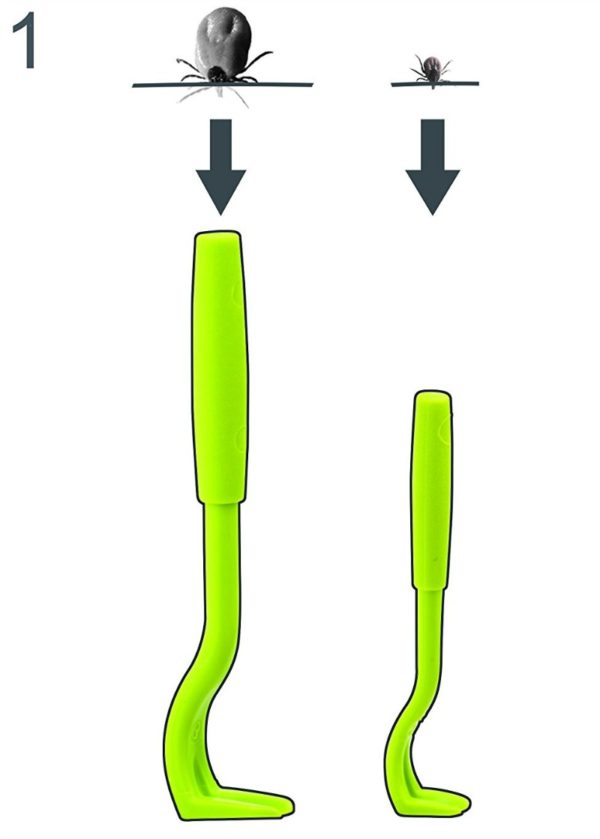 How to Remove a Tick Safely and Easily | Healthy Home Economist