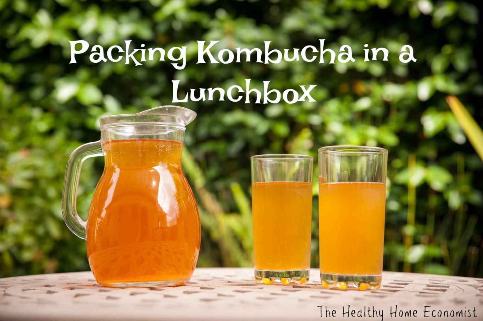 Traveling with Kombucha + Packing Safely in a Lunchbox - Healthy Home