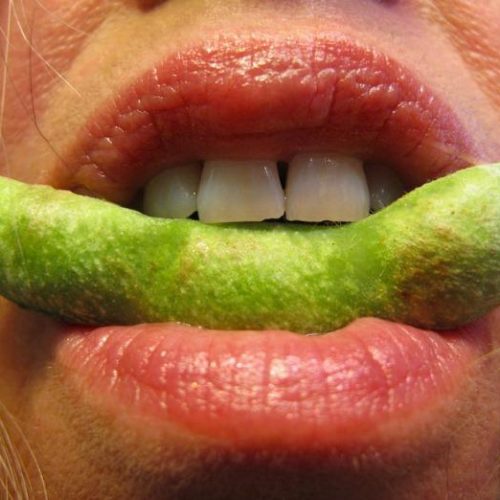 How Soy Wreaks Havoc on Digestion and the Panceas - The Healthy Home ...