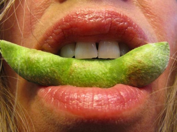 170 Scientific Studies Confirm the Dangers of Soy - The Healthy Home ...