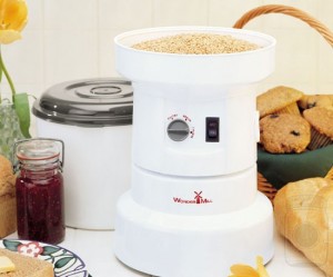 Grain Grinding 101 (plus video) | Healthy Home Economist