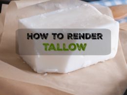 How to Render Tallow the Traditional Way - Healthy Home Economist