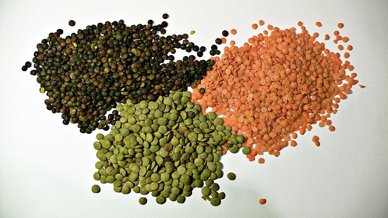 Soaking Lentils (recipe + video) | Healthy Home Economist