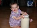 CDC Data: Raw Milk Safe During Pregnancy | Healthy Home Economist