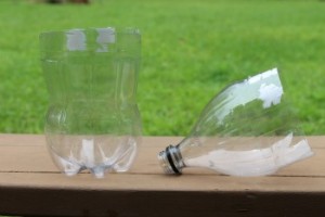Quick and Easy Homemade Fly Trap - Healthy Home Economist