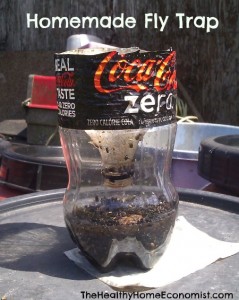 Quick and Easy Homemade Fly Trap - Healthy Home Economist