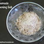 Homemade Deer Fly Trap | Healthy Home Economist