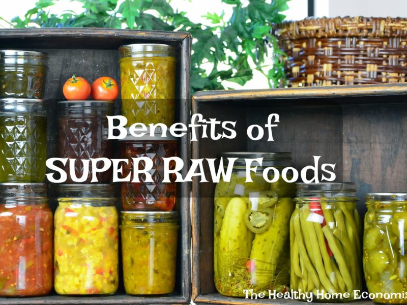 Fermented Sauces | Healthy Home Economist