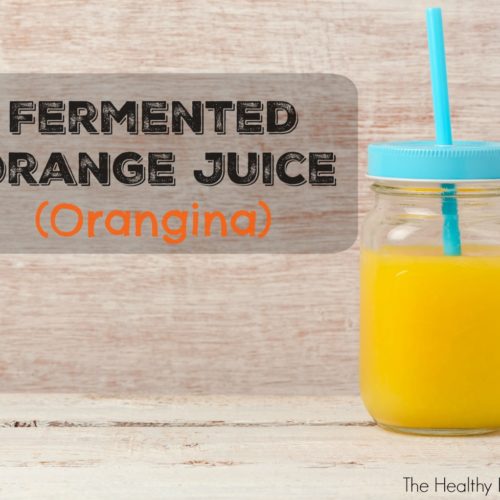 Easy Orangina Recipe (Fermented OJ) + Video - Healthy Home Economist