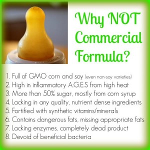 Non-Dairy Homemade Formula Recipe (+ Video) - Healthy Home Economist