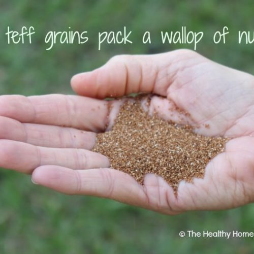 Why You Should Beware of Millet | Healthy Home Economist