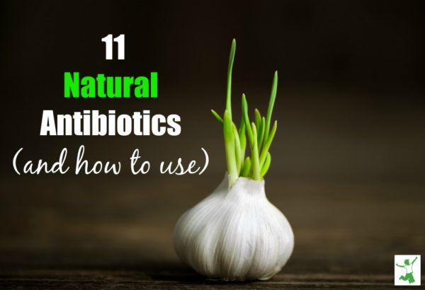 How to SAFELY Use the Best Natural Antibiotics | Healthy Home Economist