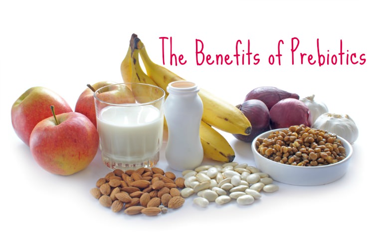 Prebiotics and How They Benefit the Gut | Healthy Home Economist