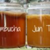 Jun Tea: Honey Kombucha Recipe + Video - Healthy Home Economist