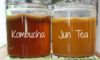 Jun Tea: Honey Kombucha Recipe + Video - Healthy Home Economist