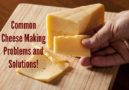 Home Cheese Making: Problems and Solutions - Healthy Home Economist