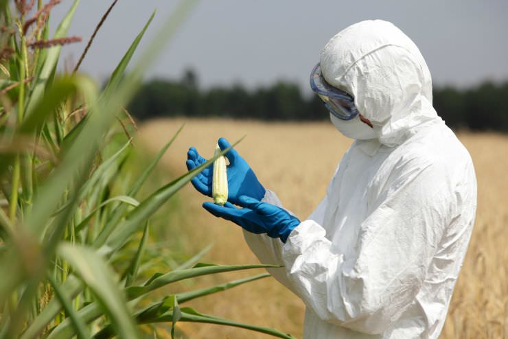 Breaking Monsanto's Grip on the Food Supply | The Healthy Home Economist