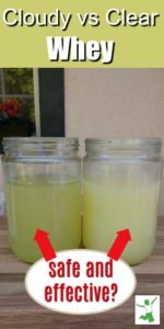 Does it Matter if Raw Whey is Clear or Cloudy? | Healthy Home Economist