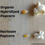 Is Monk Fruit a Safe Sweetener? | Healthy Home Economist