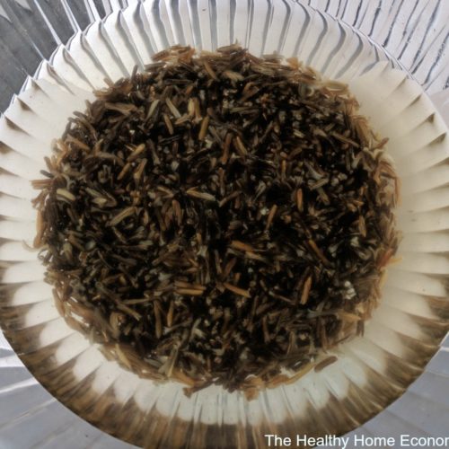 Rice Milk Recipe using Nutritious Wild Rice - The Healthy Home Economist