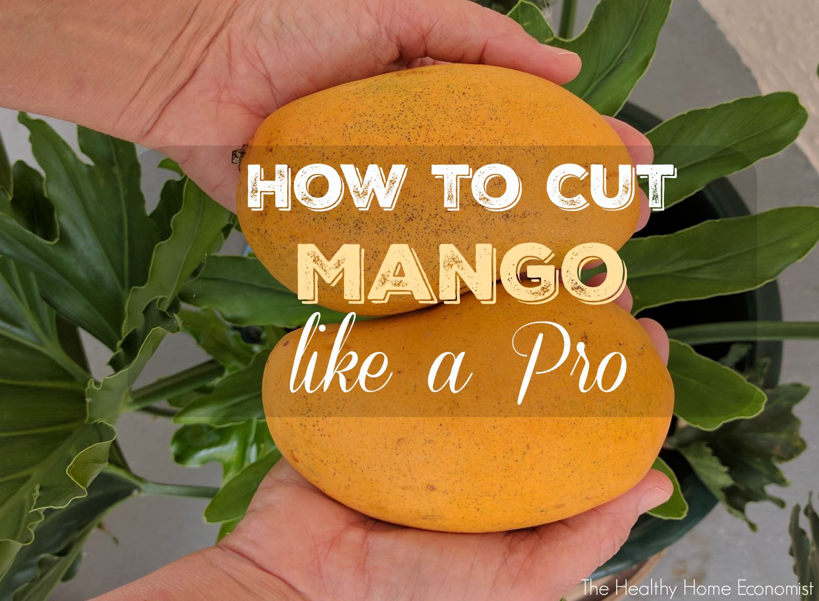 How To Cut Mango Like A Pro VIDEO The Healthy Home Economist How To Cut Mango Like A Pro VIDEO The Healthy Home Economist