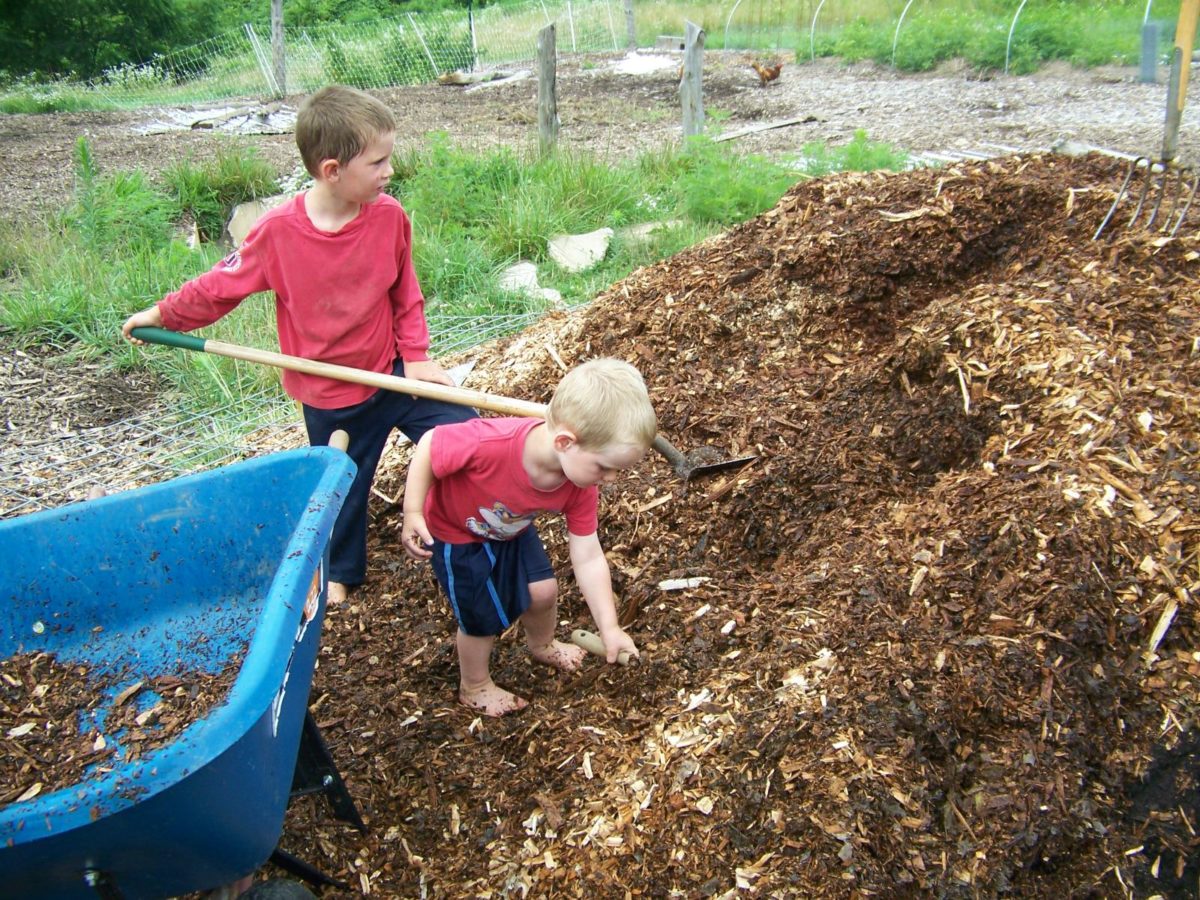 7 Reasons to Homestead: Why Self Sufficiency is The Best Safety Net ...