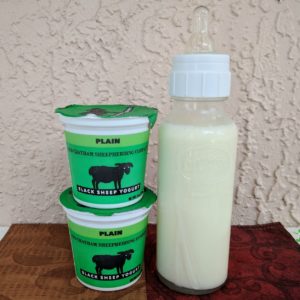 Benefits of Sheep Milk Compared with Other Types of Dairy | Healthy ...
