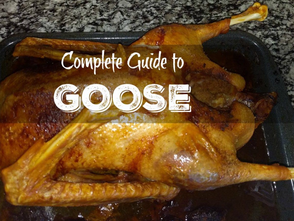 Goose Recipes | Healthy Home Economist