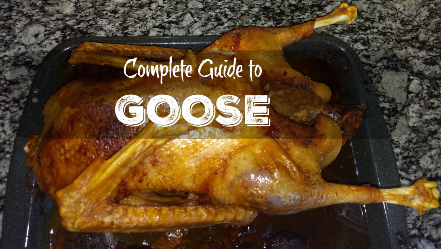 How to Roast Goose, Render the Fat and Make Goose Stock | Healthy Home ...