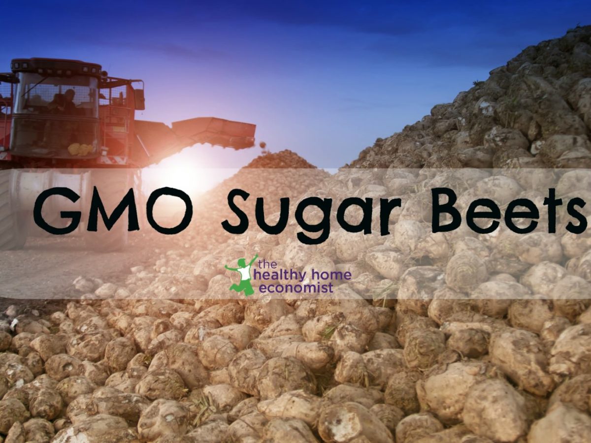 Beet Sugar. Deadly for People and the Planet | Healthy Home Economist