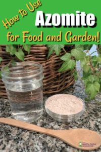 What is Azomite? How to Use for Food and Garden | Healthy Home