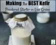 Making the Best Kefir. Powdered Starter vs Grains | Healthy Home Economist