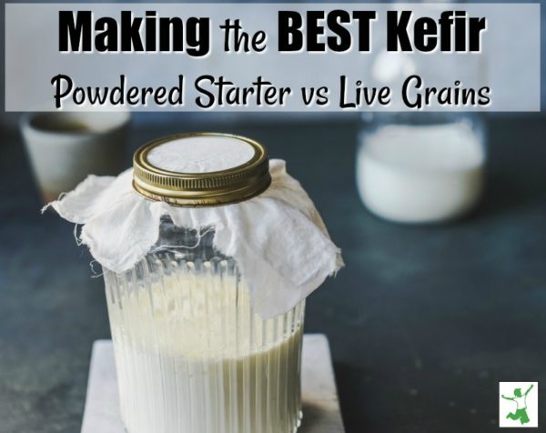 Making the Best Kefir. Powdered Starter vs Grains | Healthy Home Economist