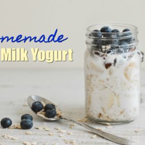 How to Make Oat Milk Yogurt at Home | Healthy Home Economist