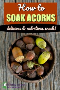 How to Soak Acorns. A Delicious (and Free!) Snack | Healthy Home Economist
