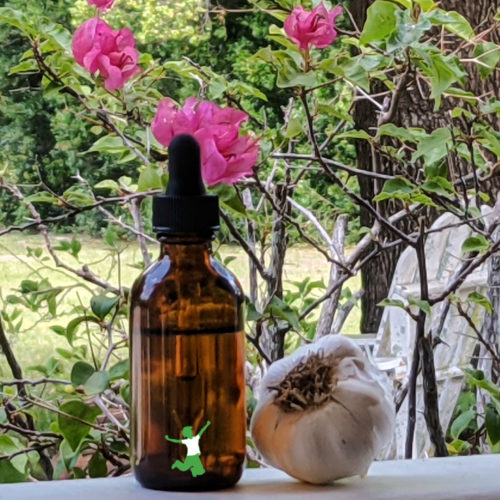 6 Most Effective Natural Antifungals (and how to use them) | Healthy Home