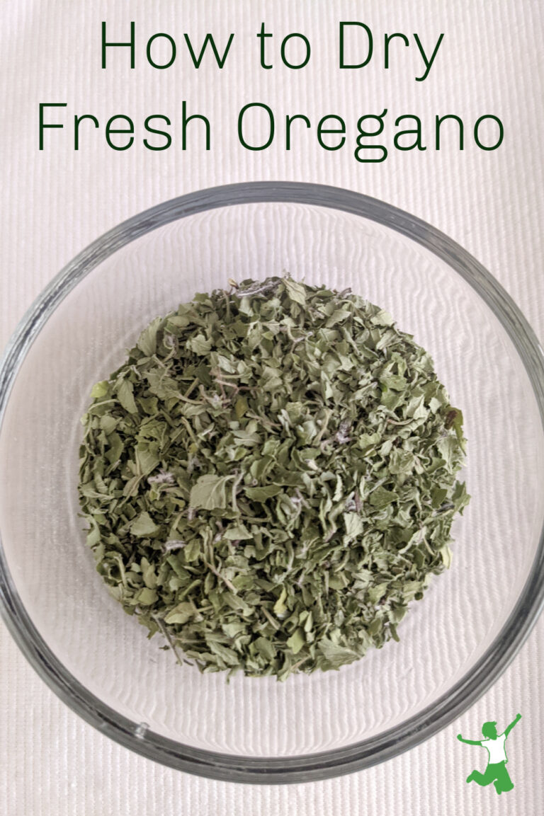 Homemade Dried Oregano | Healthy Home Economist