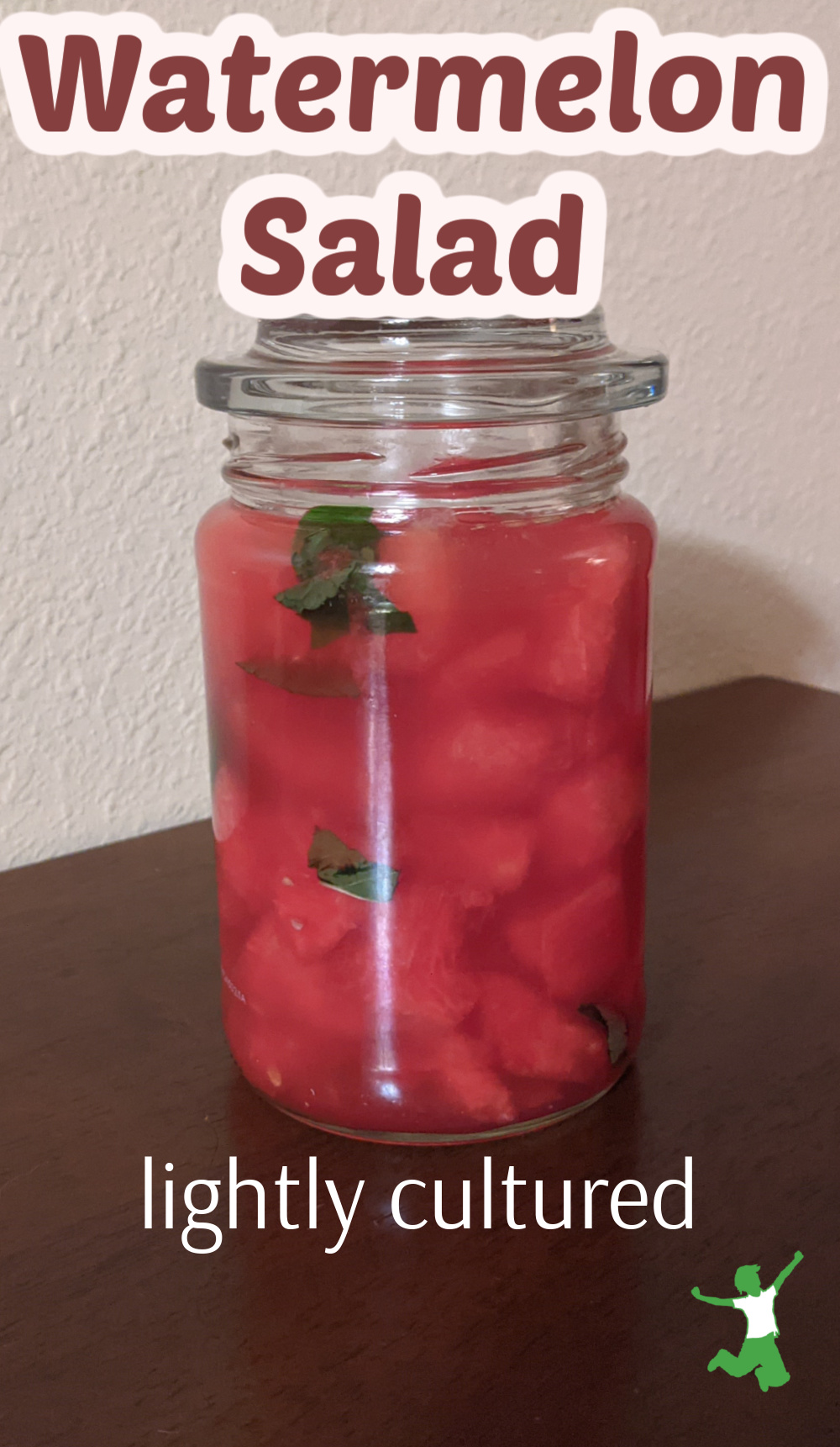 Cultured Watermelon & Mint Salad | Healthy Home Economist