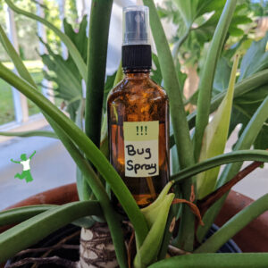 Homemade Vanilla Extract Recipe - Healthy Home Economist