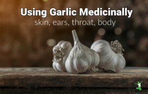How to Use Garlic Medicinally | Healthy Home Economist