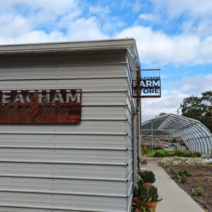 10 Tips for Using Stainless Steel Cookware Safely - Healthy Home Economist